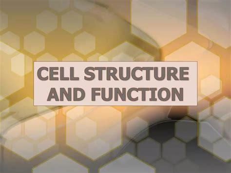 PPT CELL STRUCTURE AND FUNCTION PowerPoint Presentation Free Download ID 2058437