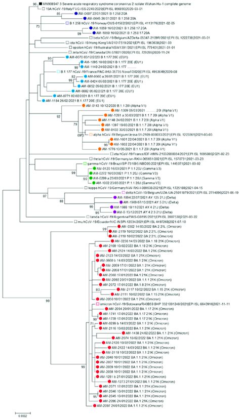 Ml Phylogenetic Tree Was Estimated Using 17 Reference Sequences And 67