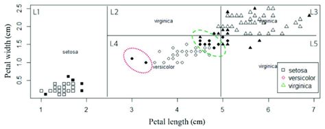 The Construction Of A Decision Tree And Svms For The Iris Data Shows