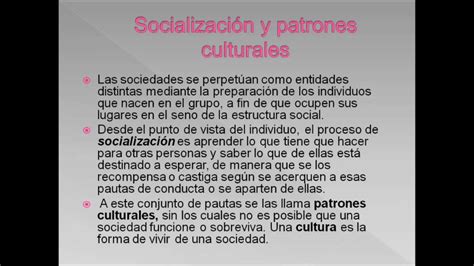 Estructura Y Funcionamiento De La Sociedad Un Vistazo En Pocas Palabras