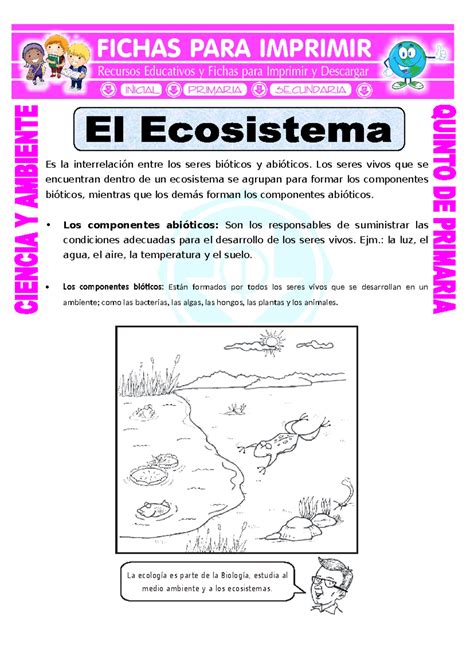 Factores Del Ecosistema Para Quinto Grado De Primaria Images Porn Sex