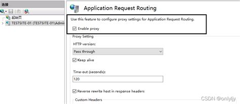 在window服务器使用iis部署vue项目实现跨域vue Iis 跨域 Csdn博客