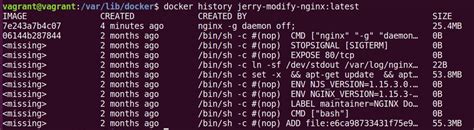 详解docker镜像提交命令commit的工作原理和使用方法 服务器 亿速云