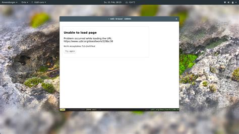 Uzbl Unacceptable Tls Certificate When Browsing Got Tty
