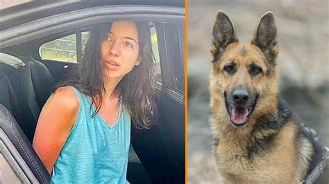 Kvinna Gripen Efter Sex Med Schäfer ”tvingades Att Göra Det” Nyheter Idag