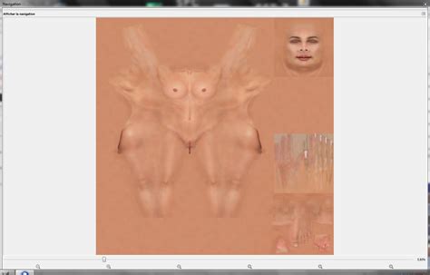 Textures Seems Help Or Idees Oblivion General Discussion Loverslab