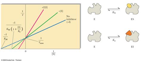Assay Design Final Flashcards Quizlet