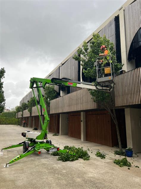 Tree Pruning Melbourne Tree Pruning Services The Mornington Peninsula