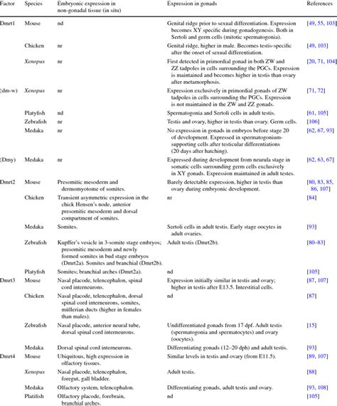 An Outline Of Reported Dmrt Factor Embryonic Expression In Vertebrates Download Table