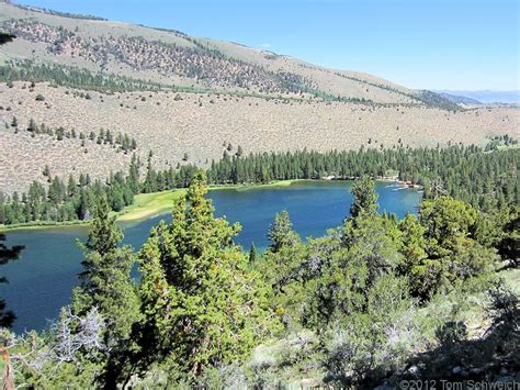 Photo Walker Lake In June 2012