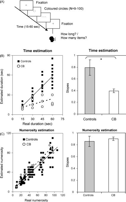 Tasks 1 And 2 Time And Numerosity Processing Tested Individually A