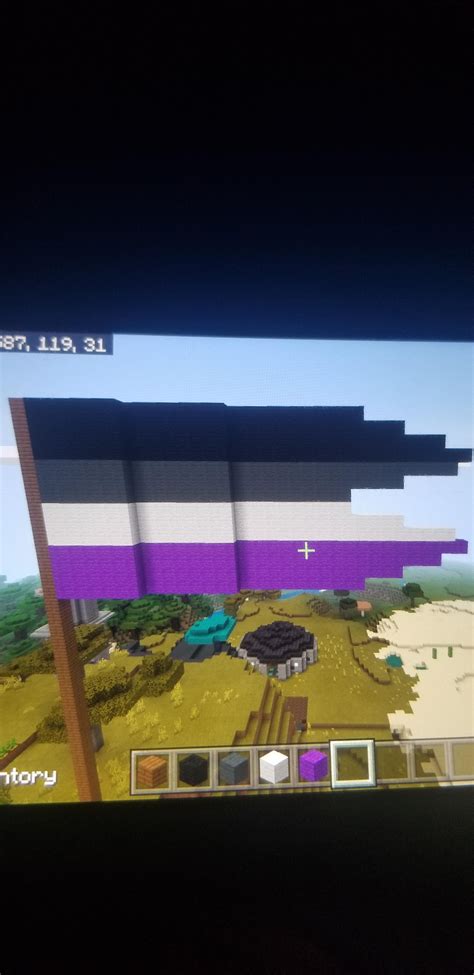 For No Reason I Decided To Build The Asexual Flag In Minecraft R
