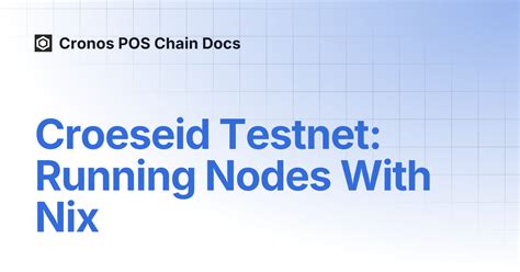 croeseid testnet running nodes with nix cronos pos chain docs