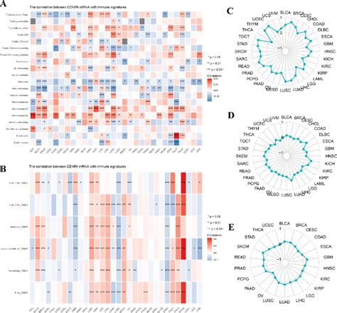 correlations between cenp expression and immune modulators the tmb