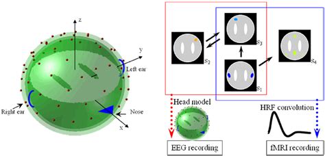 Head Model And The Construction Of Synthetic Data A Head Model 2452