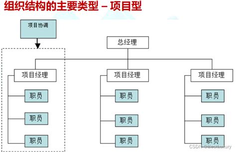 软件开发过程与项目管理 内容程序员技术管理流程及方法 Csdn博客