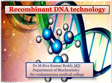 RECOMBINANT DNA TECHNOLOGY FOR MEDICAL BabeS PPTX