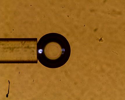 A Computational Tool For Detection And Parameters Estimation Of Microbubbles Generated With