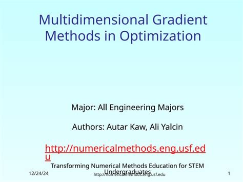 Multigradient Based Data Science Optimization Ppt