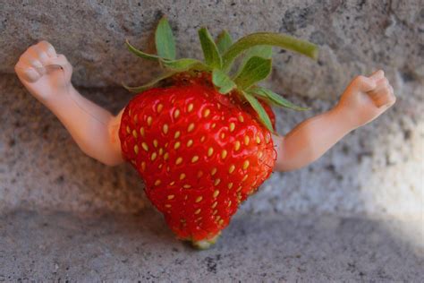 Genetically Modified Strawberries By Keswickpinhead On Deviantart