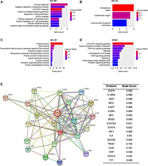 Functional Enrichment Analysis And Ppi Network Analysis Of 21 Udegs