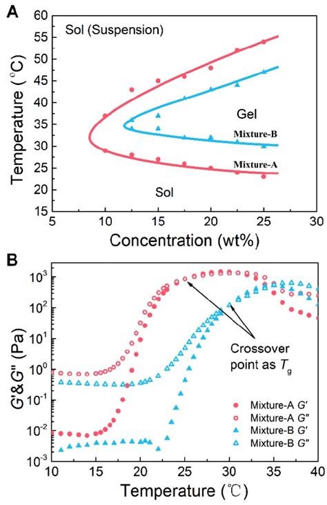 A Phase Diagrams Of The Aqueous Solutions Of The Copolymer Mixtures