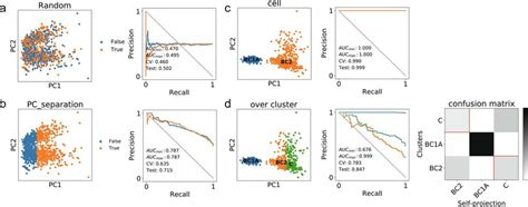 Self Projection Can Assess Over Clustering On Real Data The Performance
