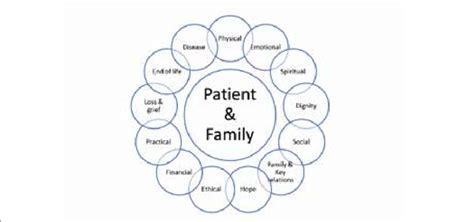 Multidimensional Needs Of Patients And Families Download Scientific Diagram