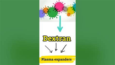 Dextrans Dextrins Dextrose Biology Shortsfeed Youtube