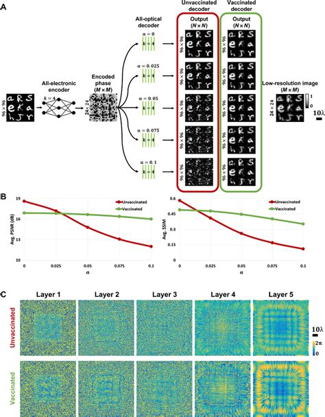 the impact of phase noise at the layers of a diffractive decoder for
