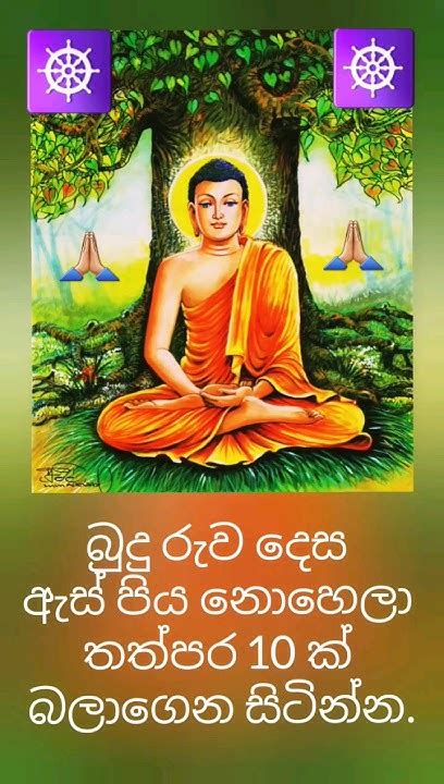 බුදු සරණයි කියලා Subscribe බටන් එක ඔබාගෙනම යමු 💚 Youtube