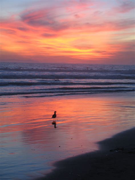 Pacific Sunset Free Stock Photo - Public Domain Pictures