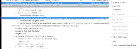 TLS Certificates From EAP Network Traffic Black Hills Information Security Inc