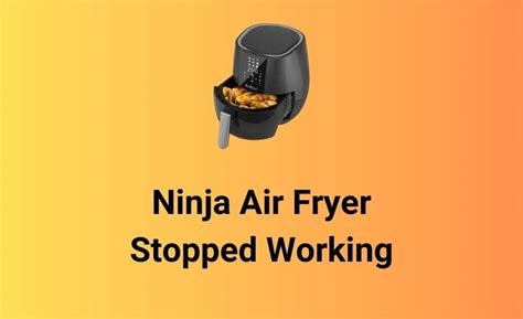Ninja Air Fryer Stopped Working Diy Repair Tips