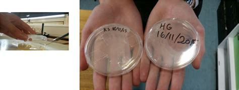 Kristian S Biology Blog Aseptic Technique