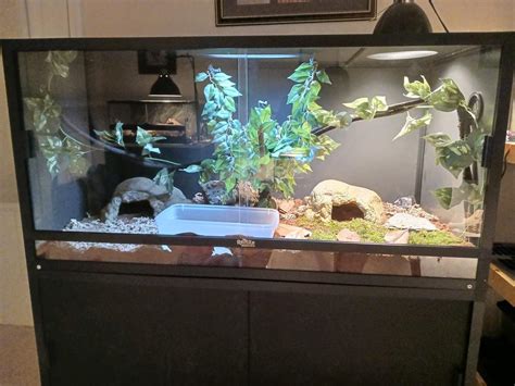 Reptile Habitats 4x2x2 Pvc Reptile Enclosure 299 Free Shipping