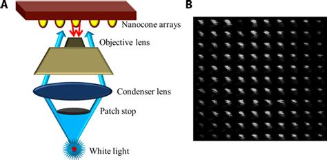 Intrinsically Core Shell Plasmonic Dielectric Nanostructures With Ultrahigh Refractive Index