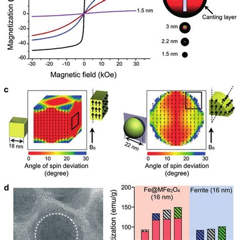 Different Types Of Mnps Developed For Magnetic Sensing A Download Scientific Diagram