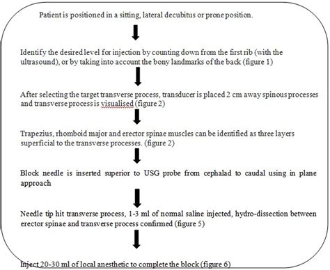 Erector Spinae Block Journal Of Cardiac Critical Care Tss