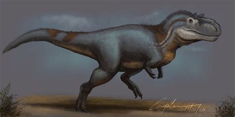 Albertosaurus Sketch By C Compiler On Deviantart