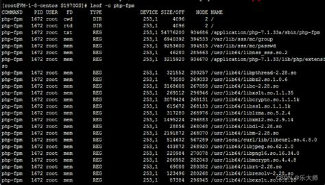 Linux命令详解（15）lsof命令 Csdn博客