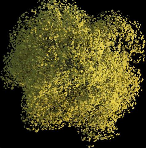 Tree Photoshop Png Tree Photoshop Image Icon Tree Images