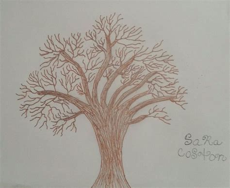 Santa Cotton Tree Drawing