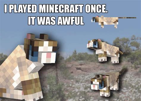 Grumpy Cat Minecraft Skin