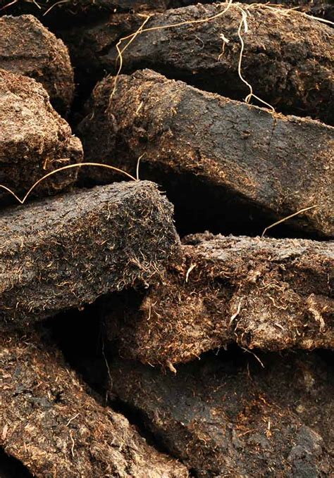 Introductory Chapter Introduction To Peat IntechOpen