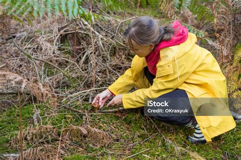 버섯 따기 시즌 가을 숲에서 칼을 자르는 버섯을 가진 노란 비옷을 입은 젊은 여성 레저 개념 계절 음식 모임 선택적 초점 공간을 복사합니다 25 29세에 대한 스톡 사진 및