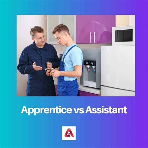 Apprentice Vs Assistant Difference And Comparison