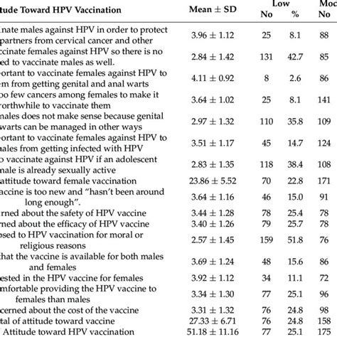 Conceptual Framework On Human Papillomavirus Hpv And Hpv Vaccinations