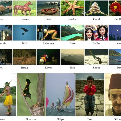 sample images from bsd500 dataset download scientific diagram