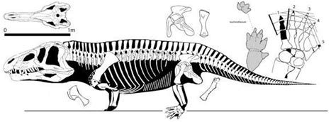Erythrosuchus Alchetron The Free Social Encyclopedia